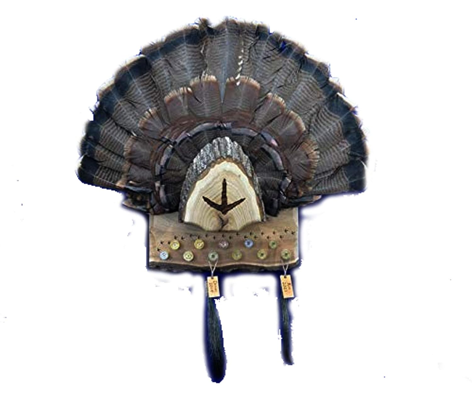 Amazon.com: Turkey Fan Plaque/Turkey Mounting Kit/Turkey Hunting Turkey ...