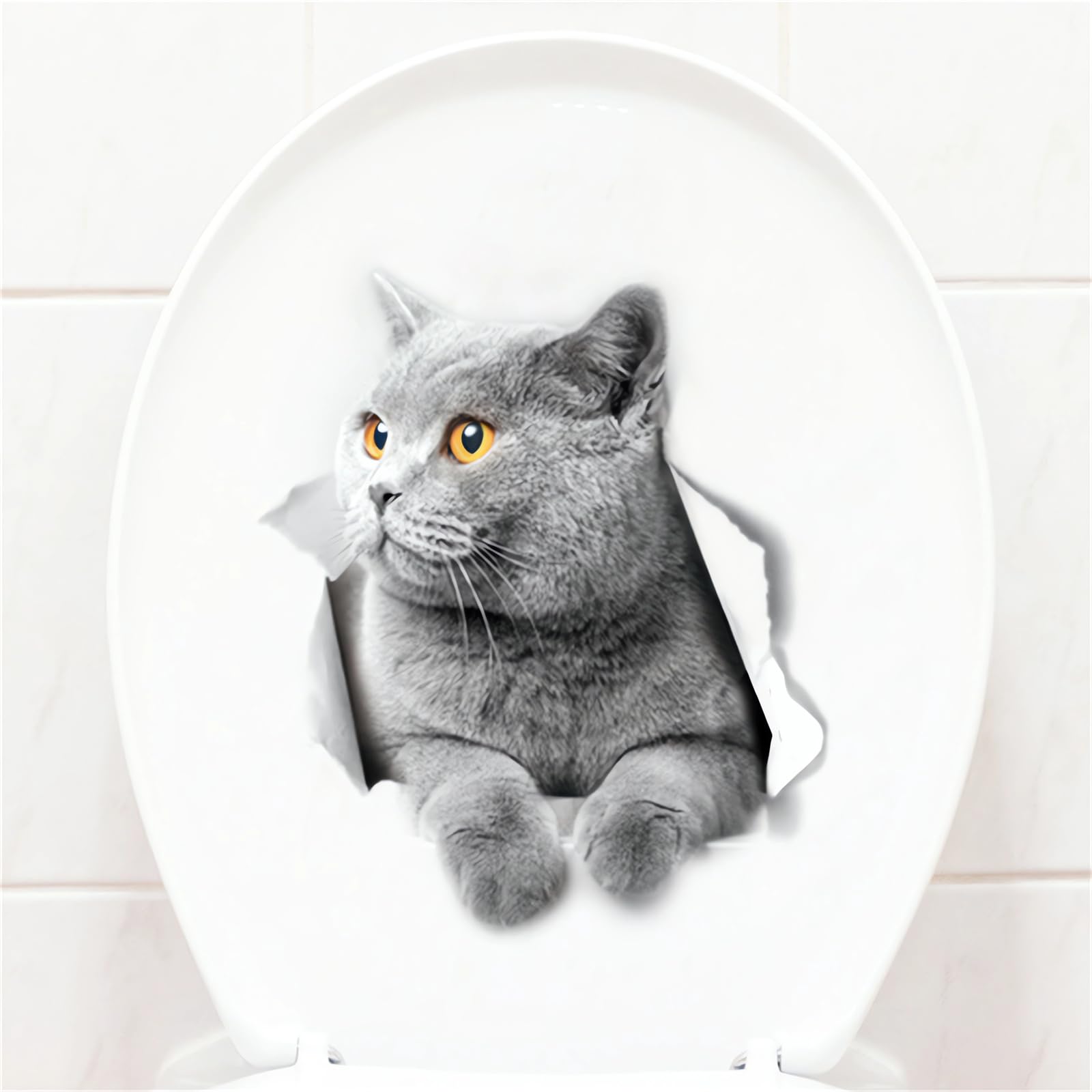 Amazon.com: Little Cat 3D Wall Stickers, sacinora Cute Kitten Animal ...