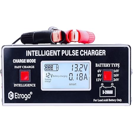 Amazon.com: Etrogo Intelligent Pulse Charger 10A Automatic Adjustable ...