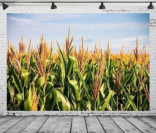 Amazon.com : CORFOTO 10x8ft Fabric Green Cornfield Backdrop for ...