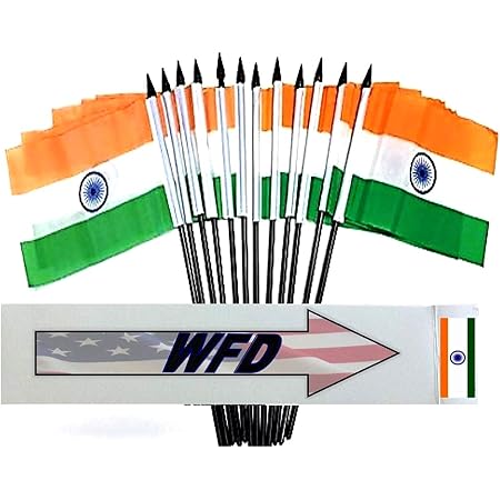 Amazon.com : India Flag Indian Small Stick Mini Hand Held Flags ...