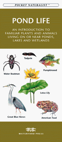 Pond Life (Pocket Naturalist): Waterford: 9781889903279: Amazon.com: Books