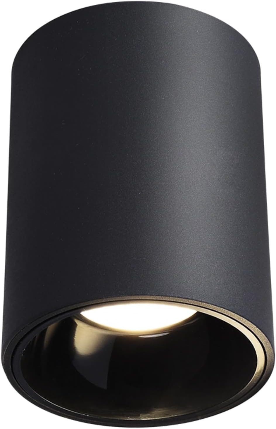 CITRA 12W LED Indoor Outdoor Black Ceiling Lamp Round Drum Cylinder ...