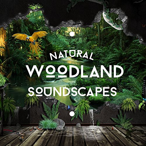 Natural Woodland Soundscapes by Natural Sounds on Prime Music