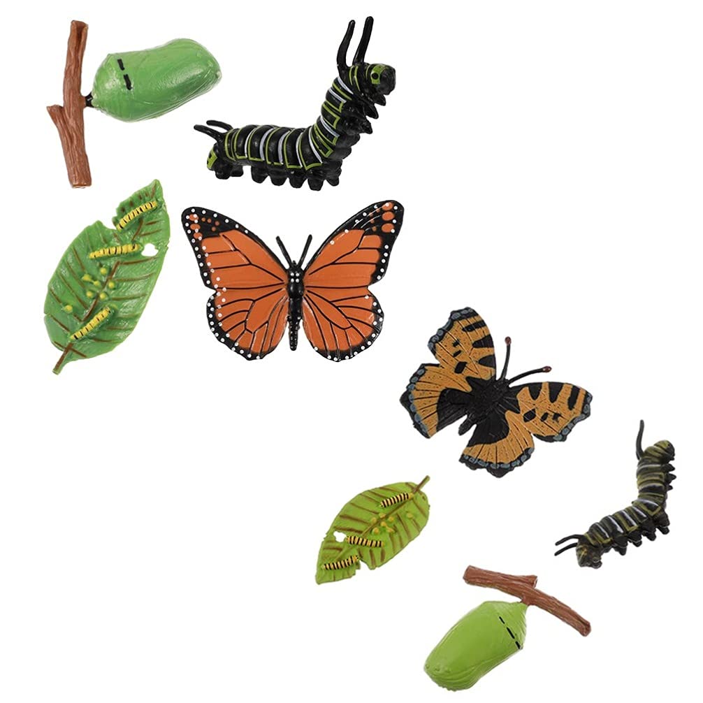 Winomo 8pcs Life Cycle Of A Butterfly Lifelike Fake Butterfly ...
