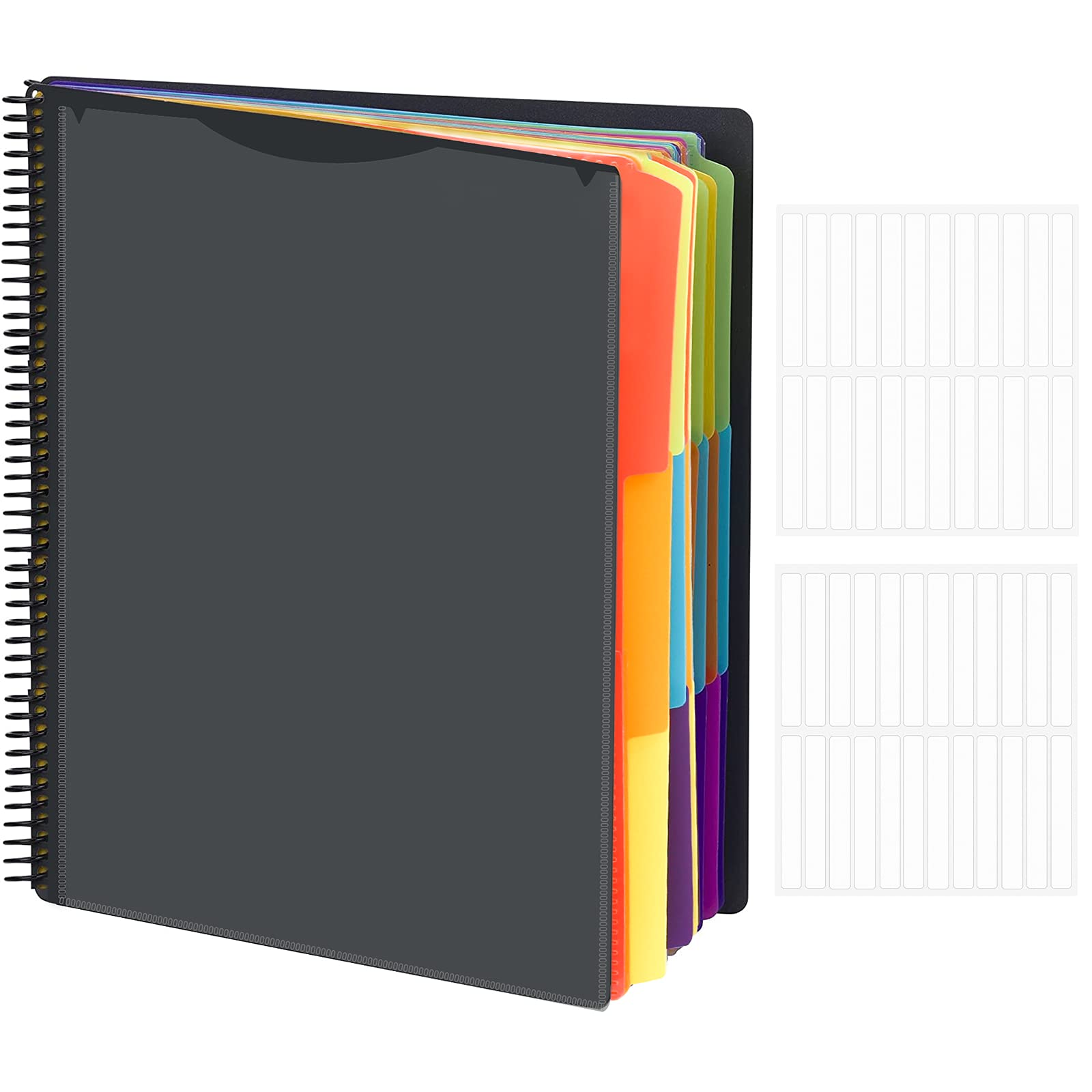 24 Pocket Project Organizer With 12 Dividers Polyethylene Documents ...