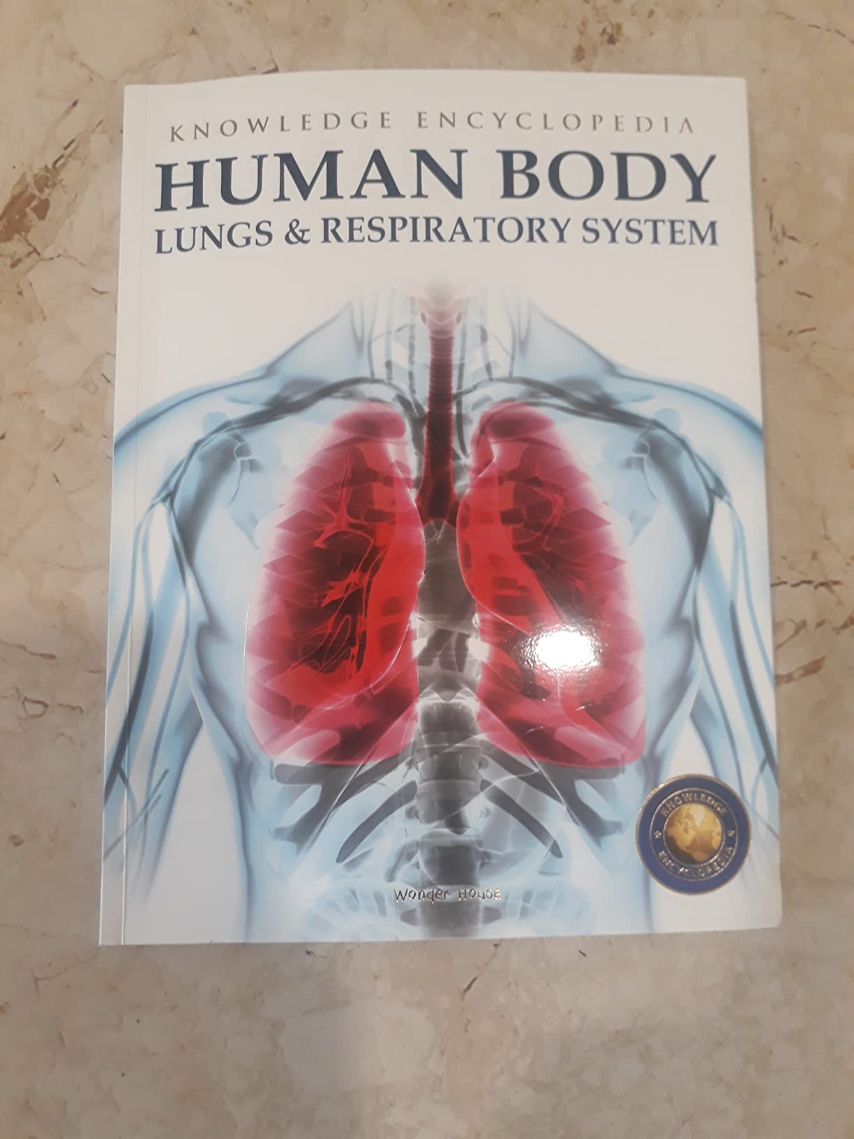 Human Body - Lungs And Respiratory System: Knowledge Encyclopedia For ...