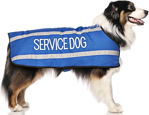 Dexil SERVICE DOG (Do Not Disturb/Dog Is Working) Blue Colour Coded S M ...