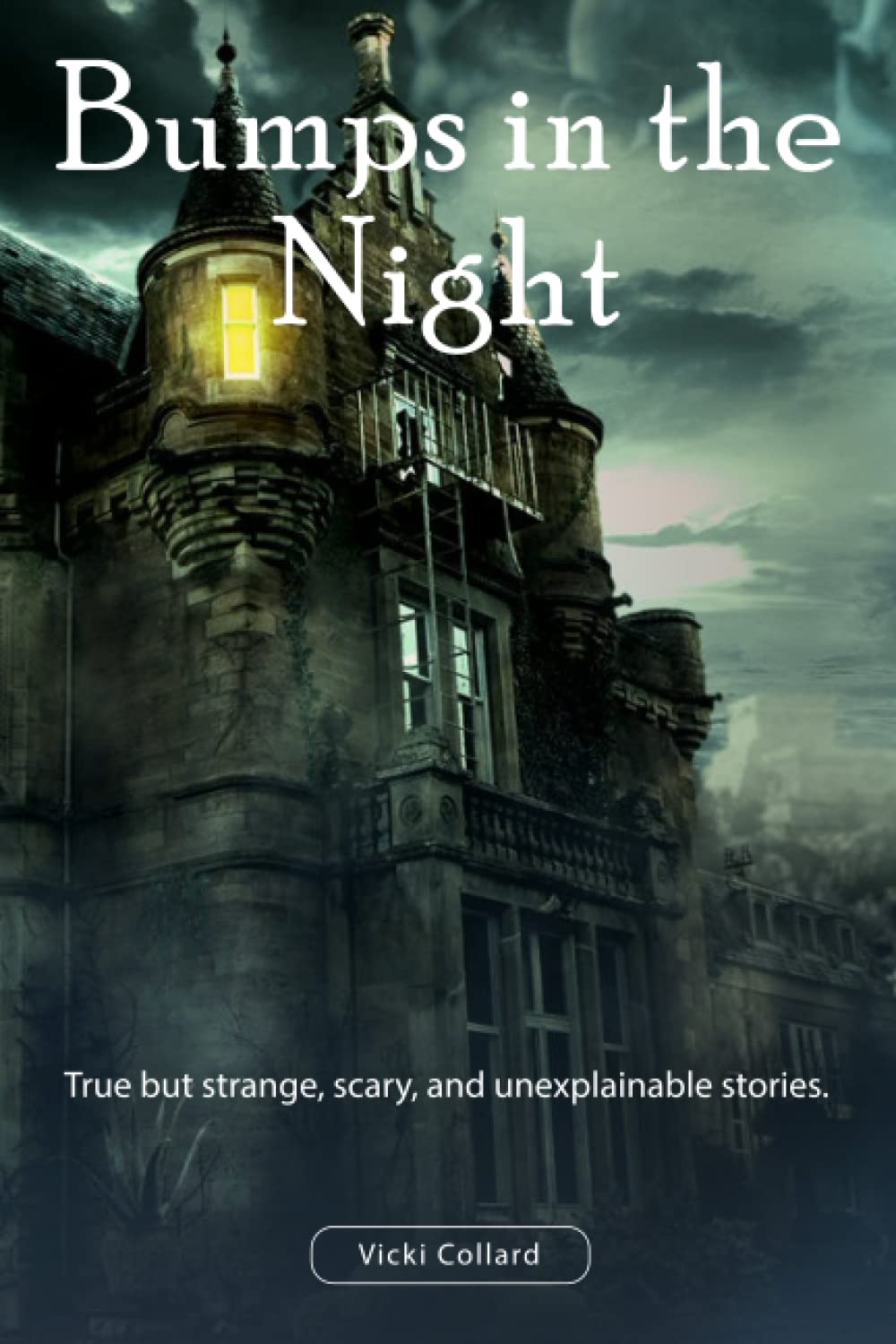Bumps in the Night: True stories – weird, unexplainable, baffling, mysterious and hard to ...