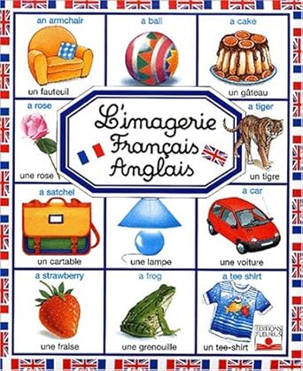 IMAGERIE FRANCAIS-ANGLAIS: Amazon.co.uk: 9782215066002: Books