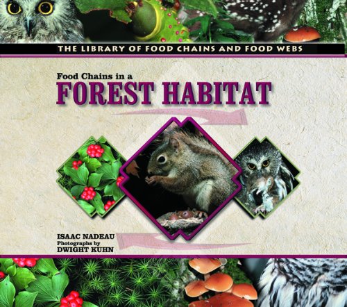Food Chains in a Forest Habitat (The Library of Food Chains and Food ...