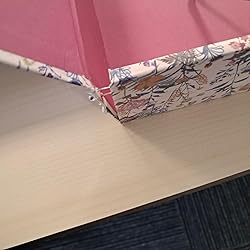 Pukka Pad, Bloom Paperboard Box Files for School and Office Document ...