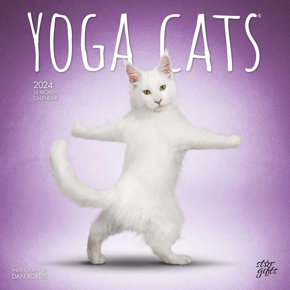 Amazon.com: Browntrout, Yoga Cats Together 2024 Wall Calendar : Office ...