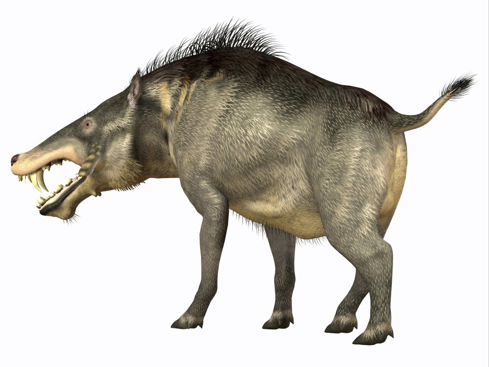 Entelodon