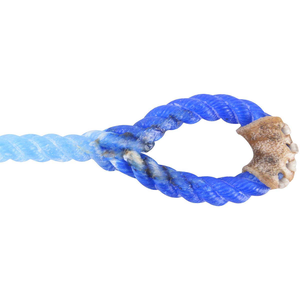 Snapklik.com : EquiBrand West Blue Racer Piggin String S Blue