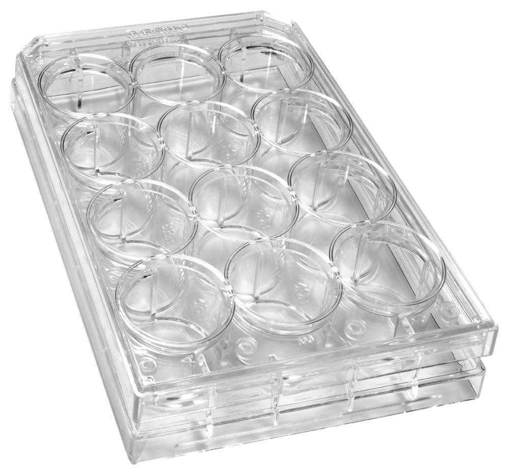 Tapered Well Plates For DNA Sequencing Caplugs Evergreen 96-Well Deep ...
