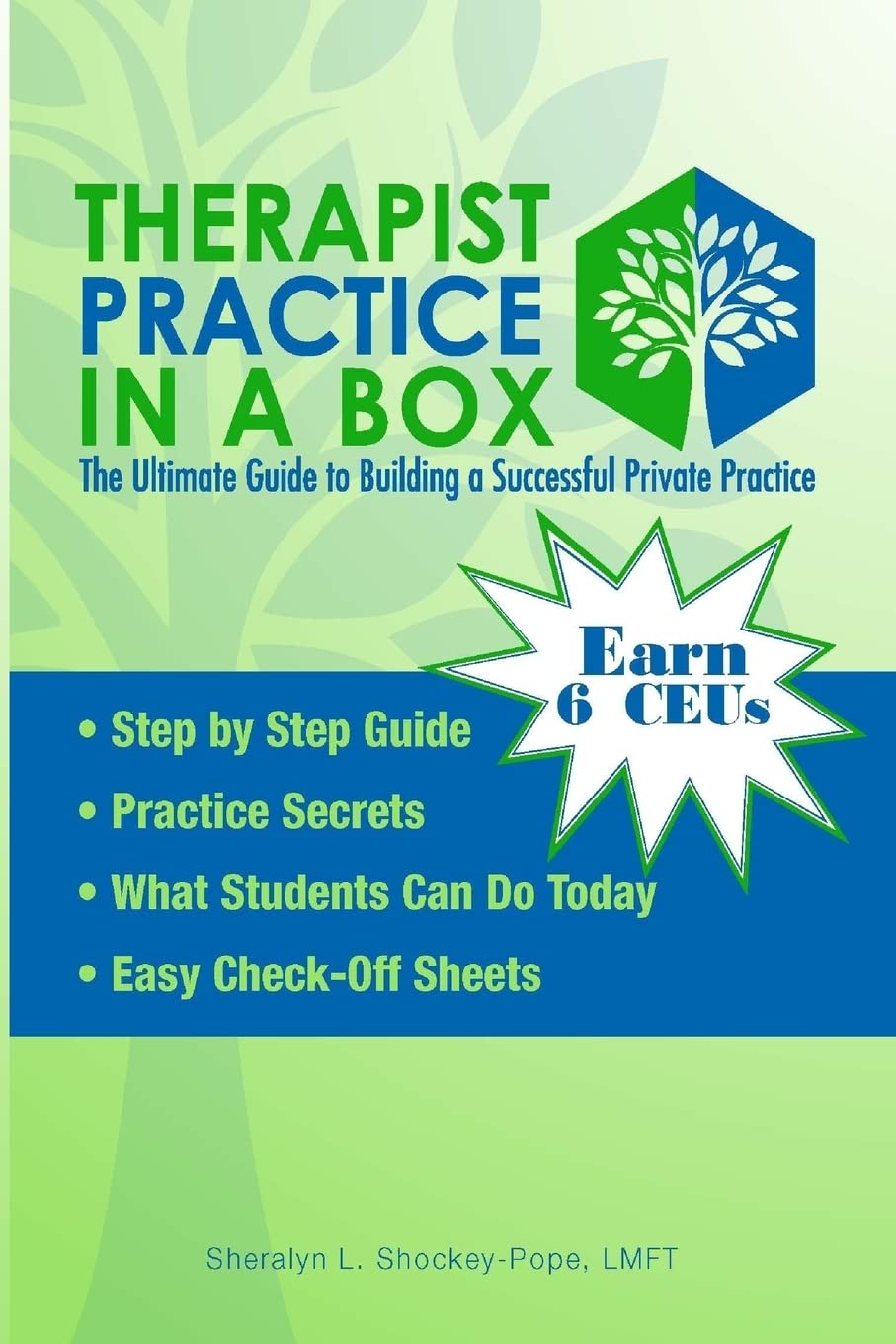 Therapist Practice In a Box: The Ultimate Guide to Building a ...