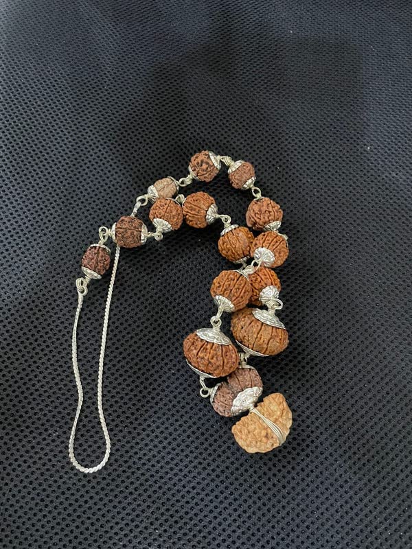 Gemz Mine 1 Se Chaudah Mukhi Rduraksha Mala Sarva Siddha Mala Original ...