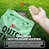 Amazon.com : X-Seed Ultra Premium Quick And Thick Lawn Seed Mixture ...