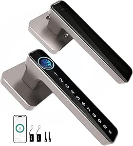 CHEN LCLILICHEN Smart Door Lock, Fingerprint Door Knob, 5 in 1 Digital ...