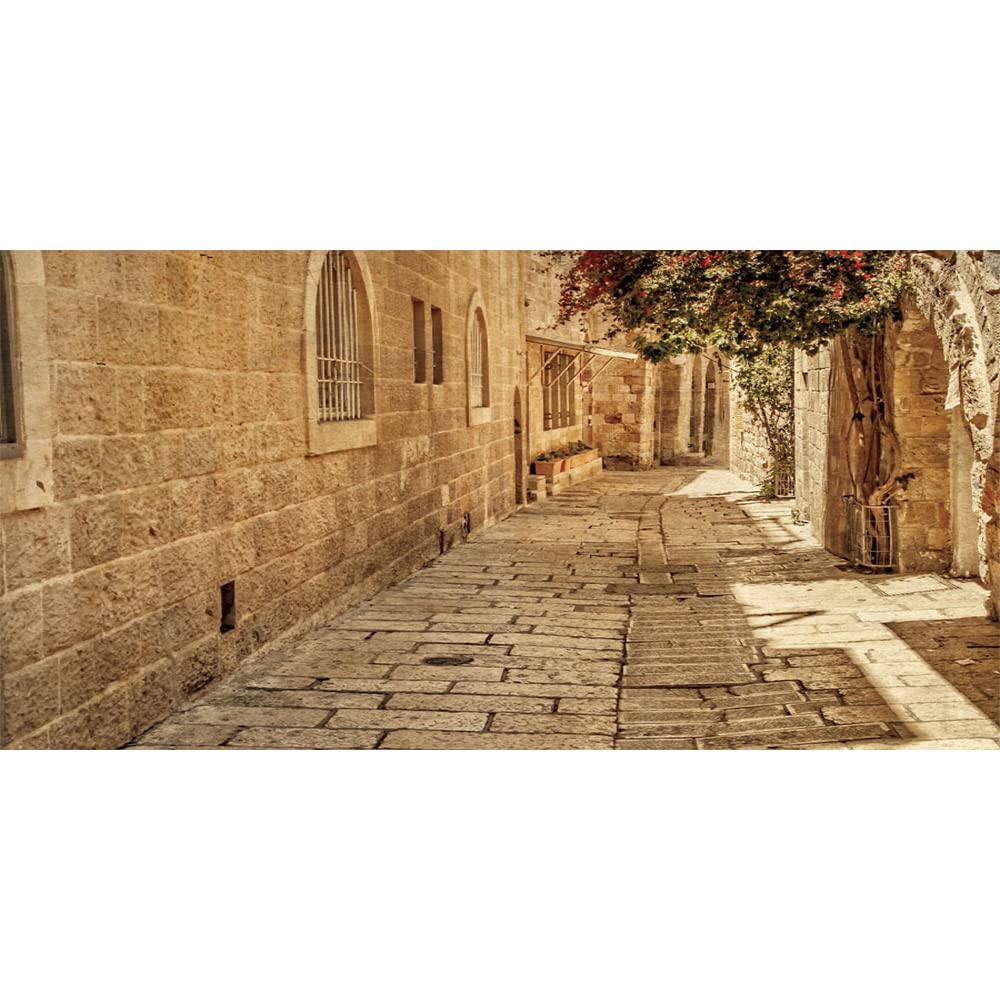 Buy CSFOTO Jerusalem Old Narrow Street Backdrop Old Jerusalem Backdrop ...