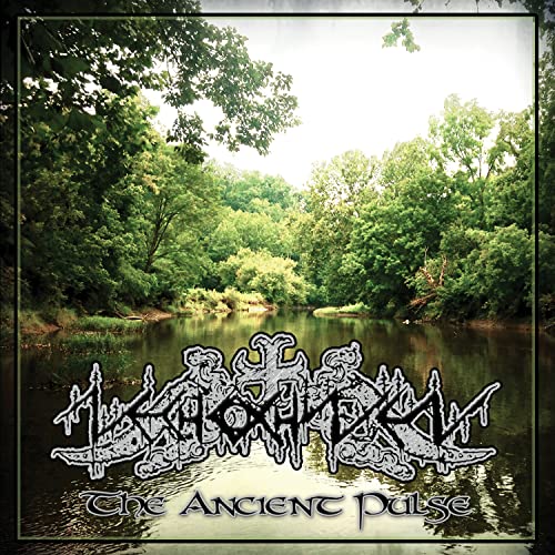 Amazon.com: The Ancient Pulse (10 Year Anniversary) : Nechochwen ...