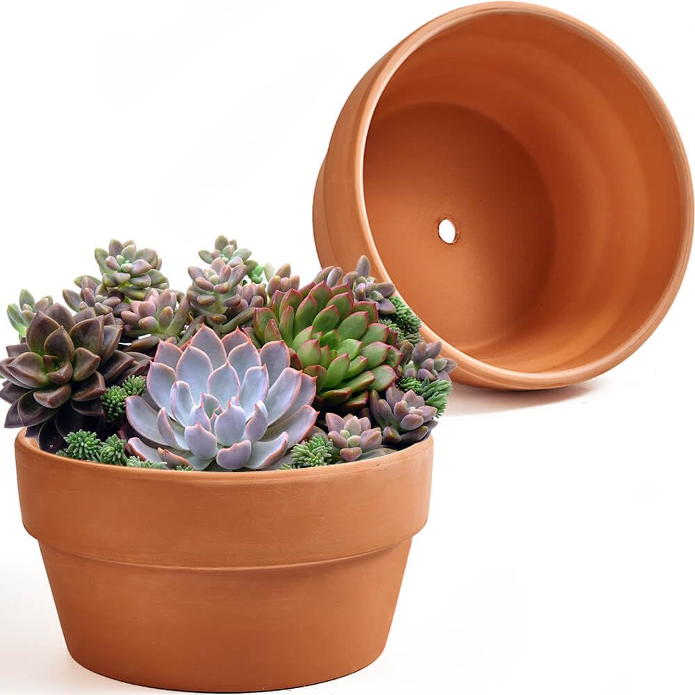 Amazon.com: 8 Inch Shallow Terracotta Pot for Succulent - 2 Pcs Large ...