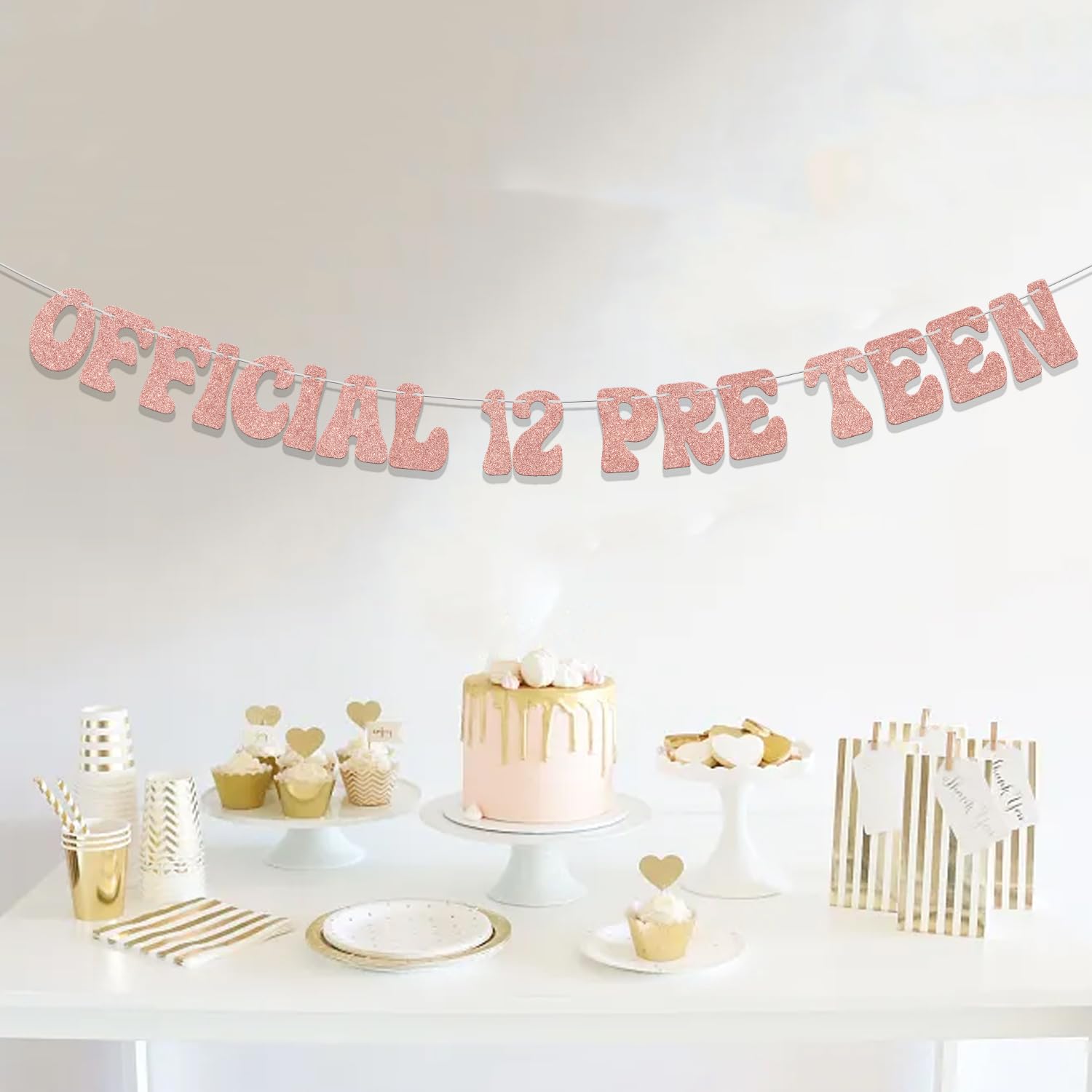 Snapklik.com : Official 12 Pre Teen Banner Teen 12th Birthday Party ...