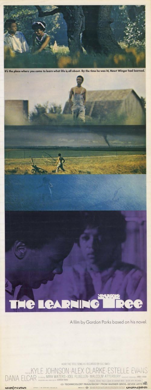 Amazon.com: The Learning Tree Movie Poster (14 x 36 Inches - 36cm x ...