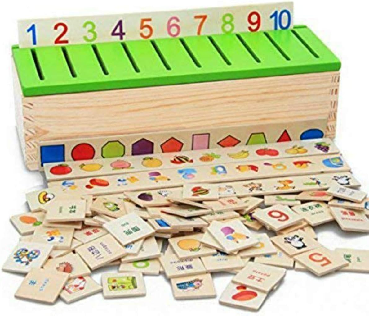 Amazon.com: DANNI Montessori Multi-Function Knowledge Classification ...