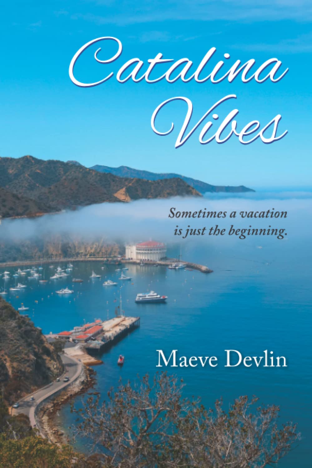 Catalina Vibes: Devlin, Maeve: 9798795909516: Amazon.com: Books