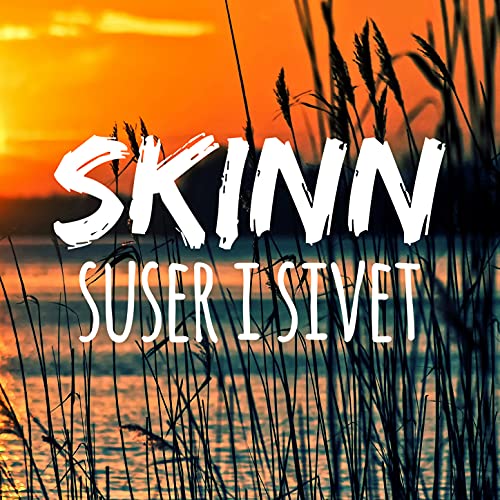 Suser i sivet de Skinn en Amazon Music Unlimited