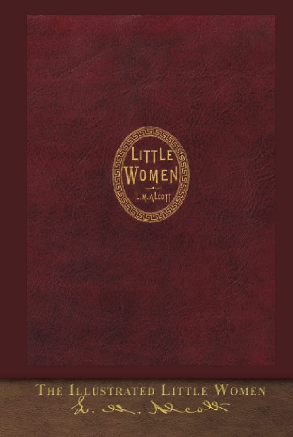 Illustrated Little Women: First Edition Cover: Amazon.co.uk: Alcott ...