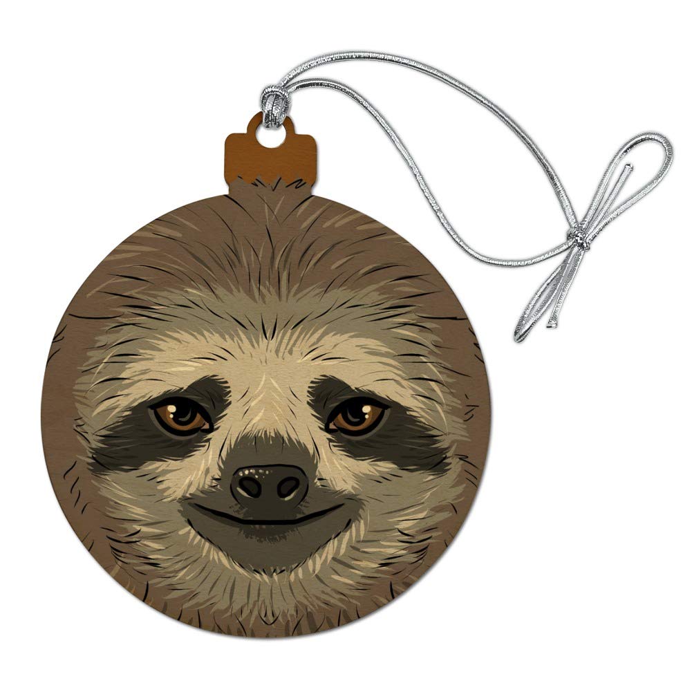 Cute Sloths In Trees