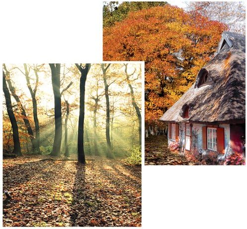 Amazon.com : ROLE PLAY BACKDROPS (Pair) To hang up to create setting ...