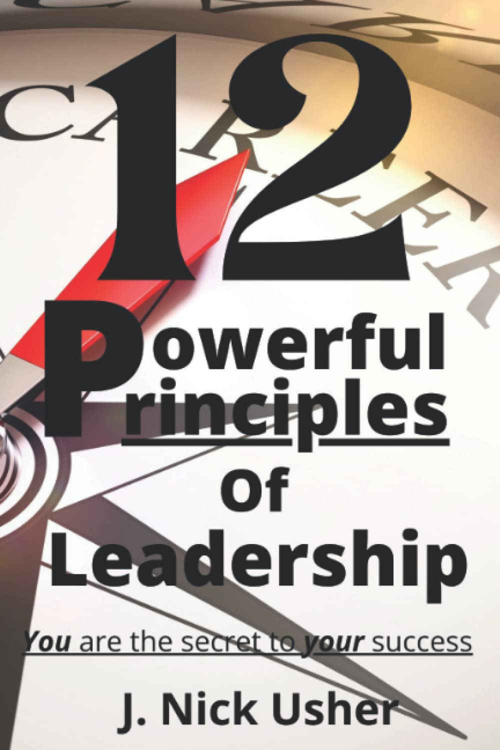 12 Powerful Principles of Leadership: You are the Secret to Your ...
