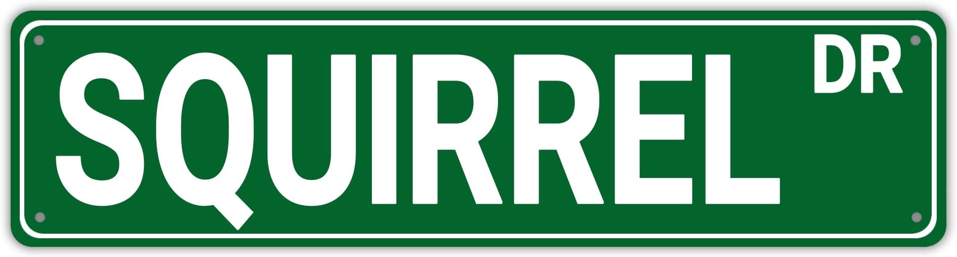 Amazon.com: Squirrel Sign, Funny Squirrel Metal Tin Signs Squirrel ...