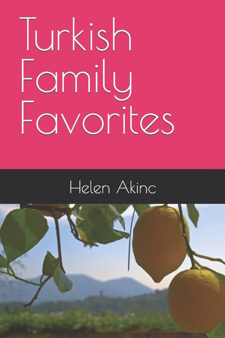 Turkish Family Favorites: Akinc, Helen W.: 9781519376978: Amazon.com: Books