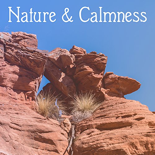 Amazon Music Unlimited - Native American Flute 『Nature & Calmness ...