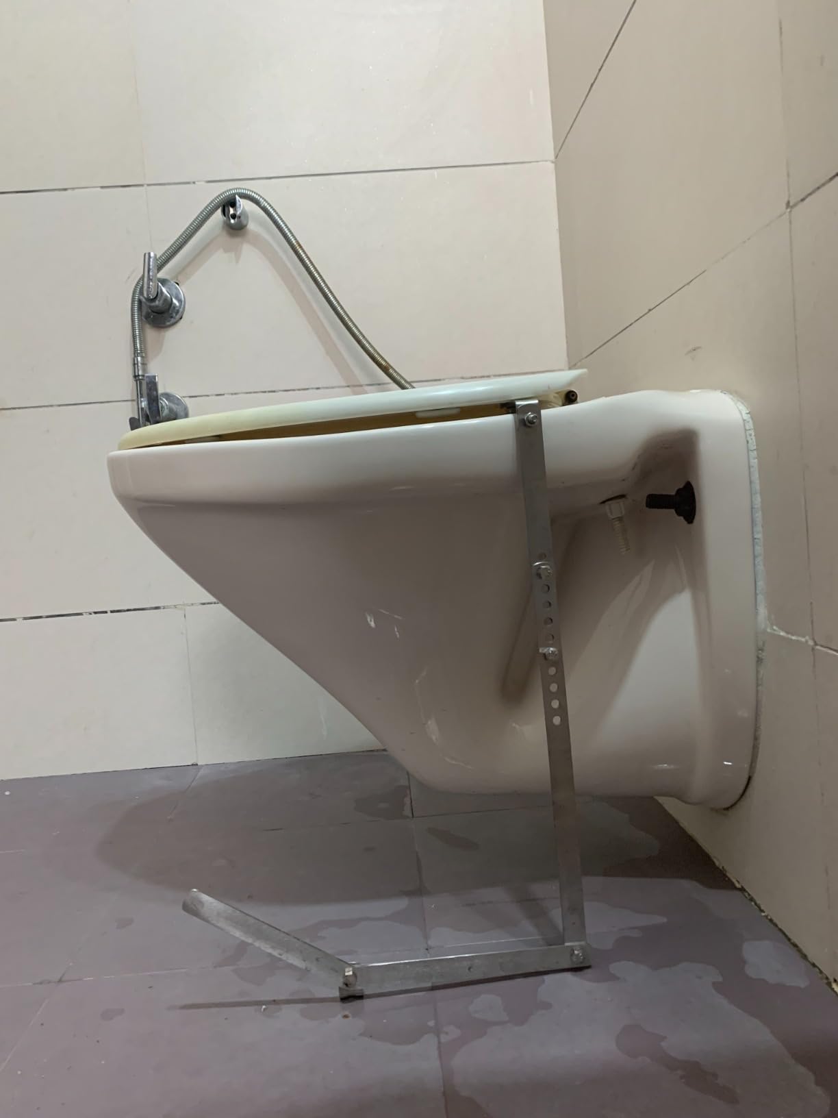 Stainless Steel DJYÂ™ Toilet Seat Cover Lifter, Foot Operated Toilet ...