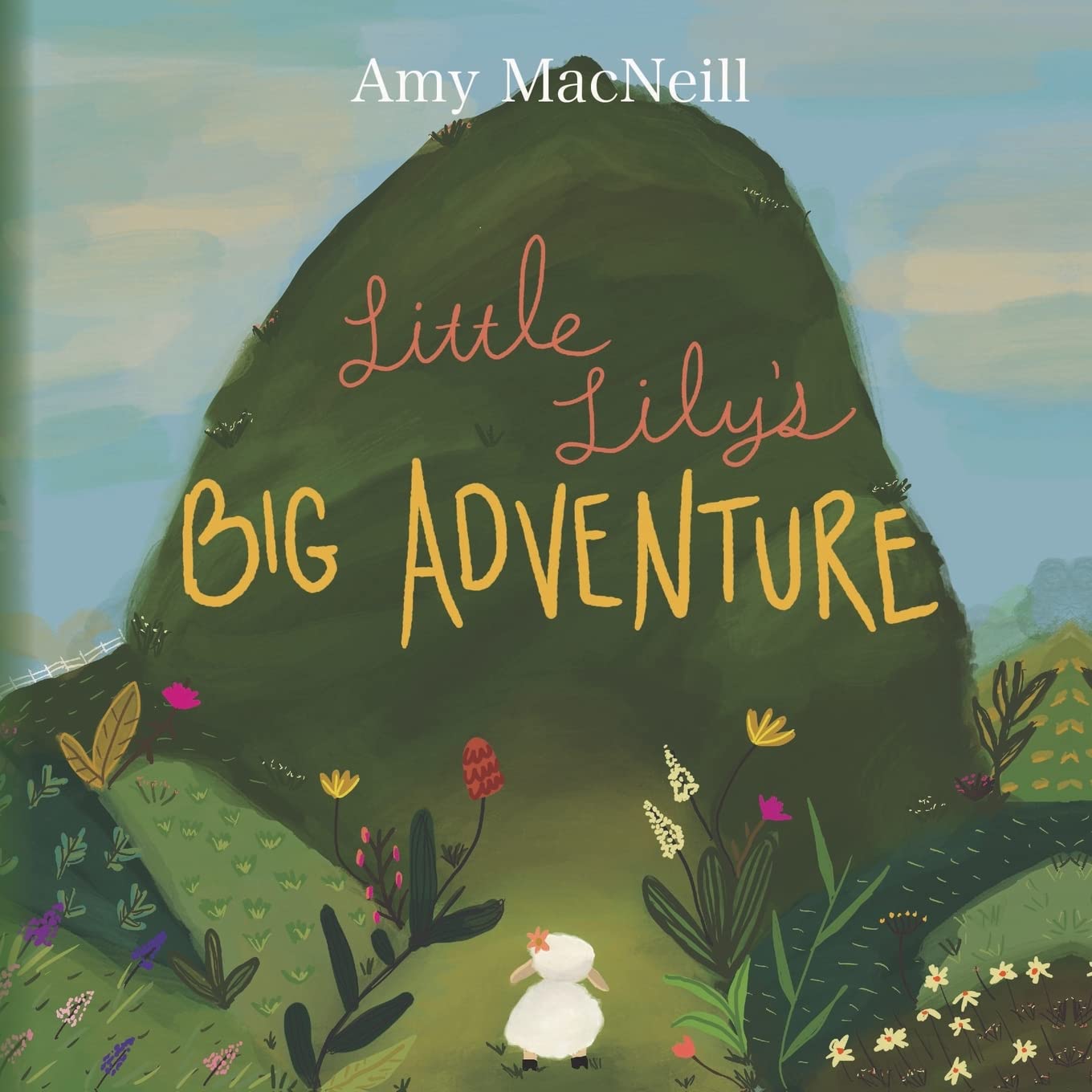 Little Lily's Big Adventure: MacNeill, Amy: 9781638371298: Amazon.com ...