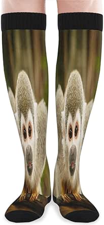 Amazon.com: POFATO Monkeys Animals Compression Socks for Women Men ...