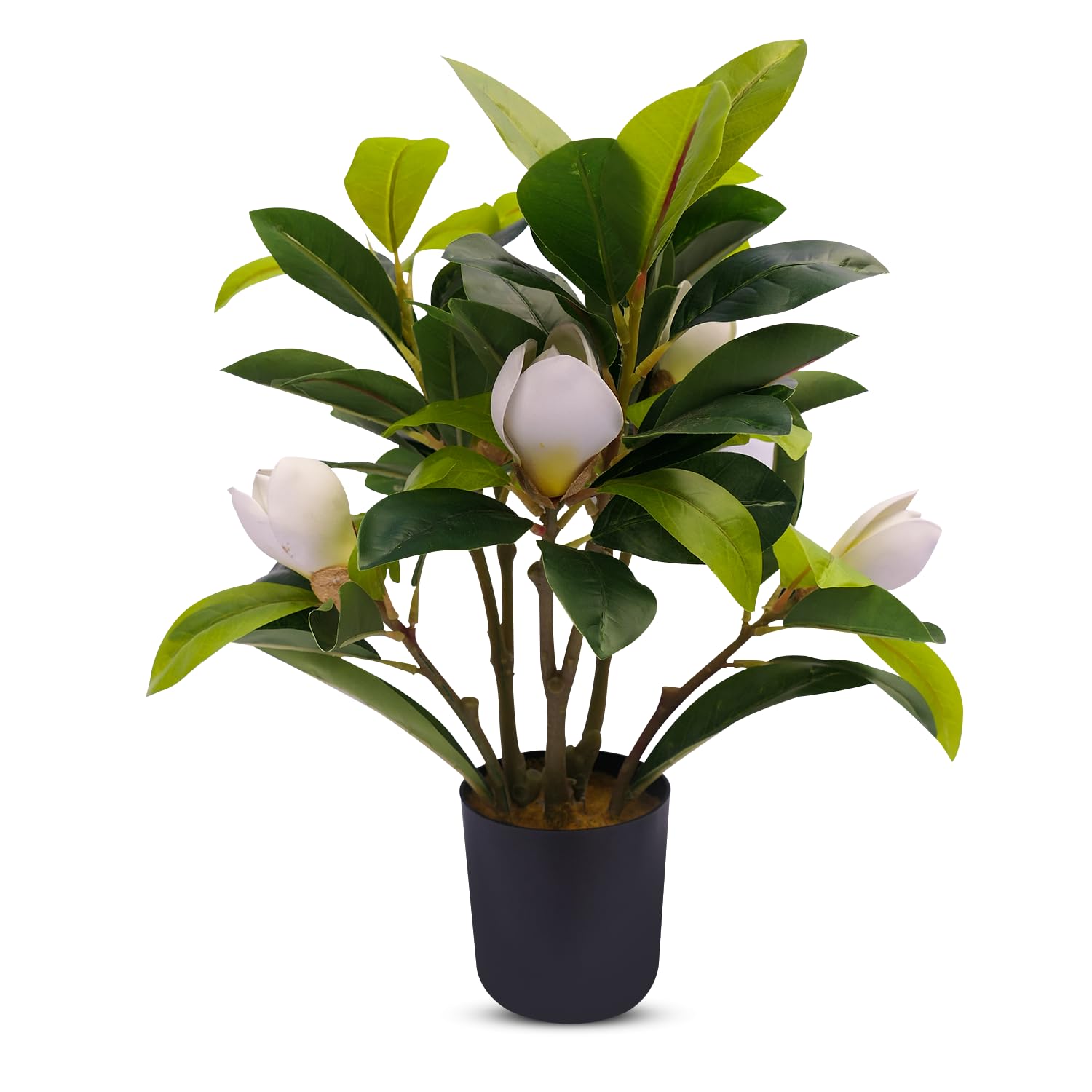 Amazon.com: LIVN GREEN 16" Artificial Magnolia Stems in a Pot ...