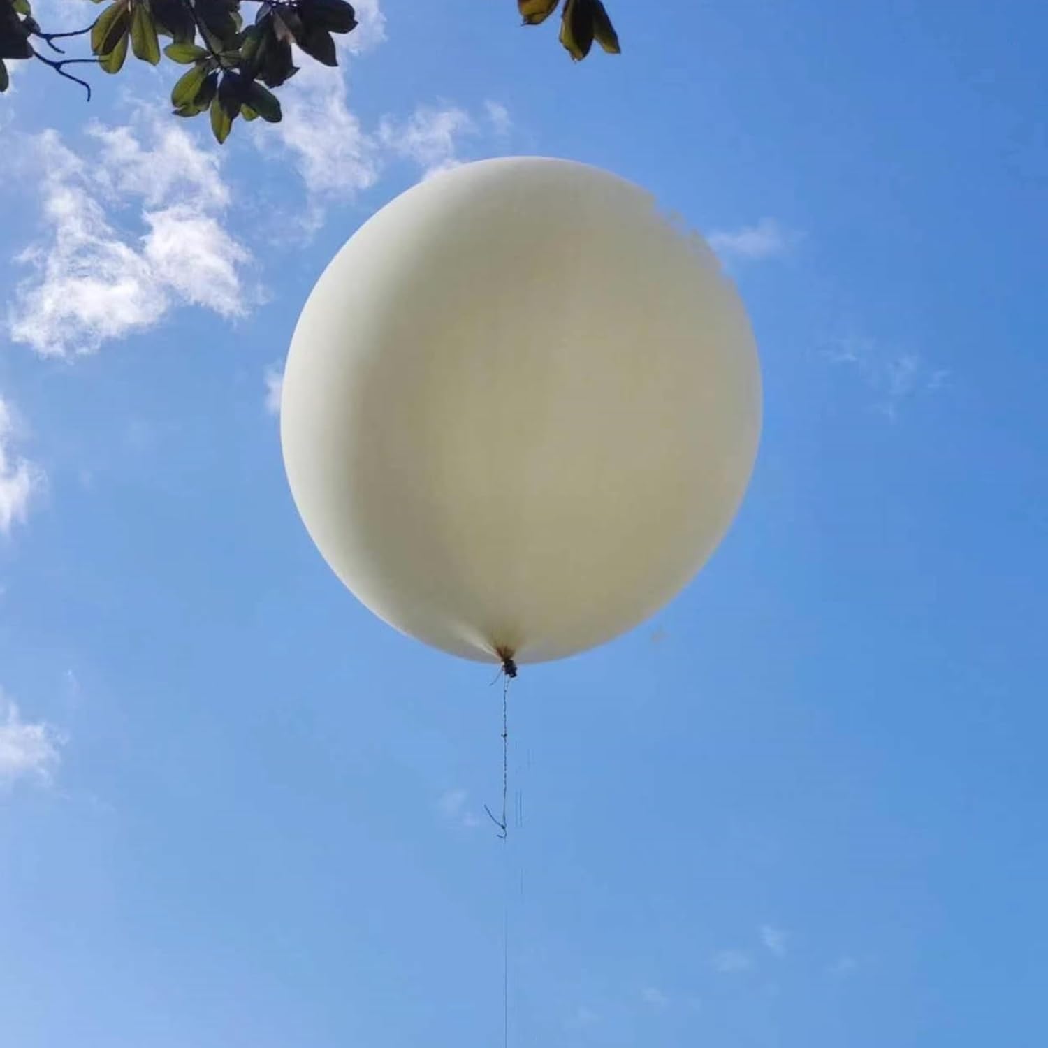 Amazon.com: 350g Weather Balloon Meteorological Balloon For Weather ...