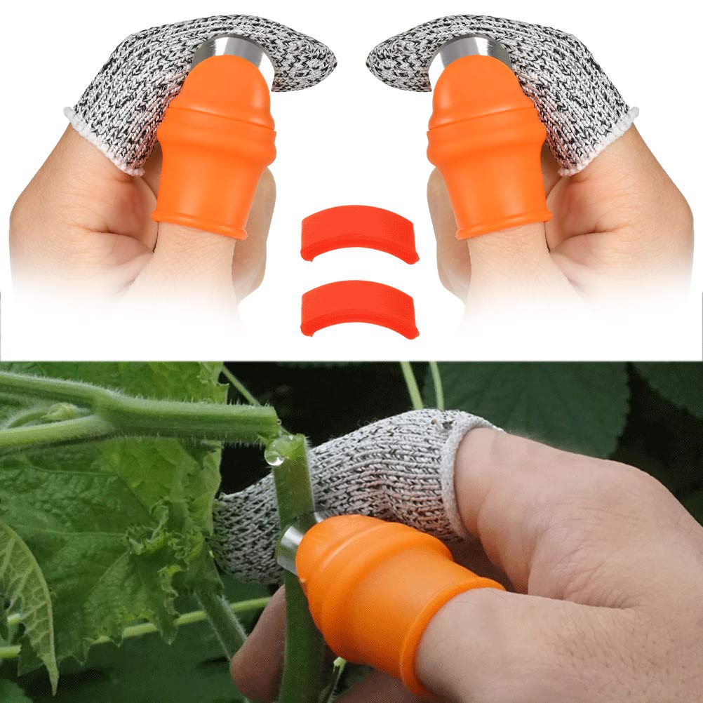 OFNMY Garden Silicone Thumb Knife Vegetables Thumb Cutter : Amazon.in ...