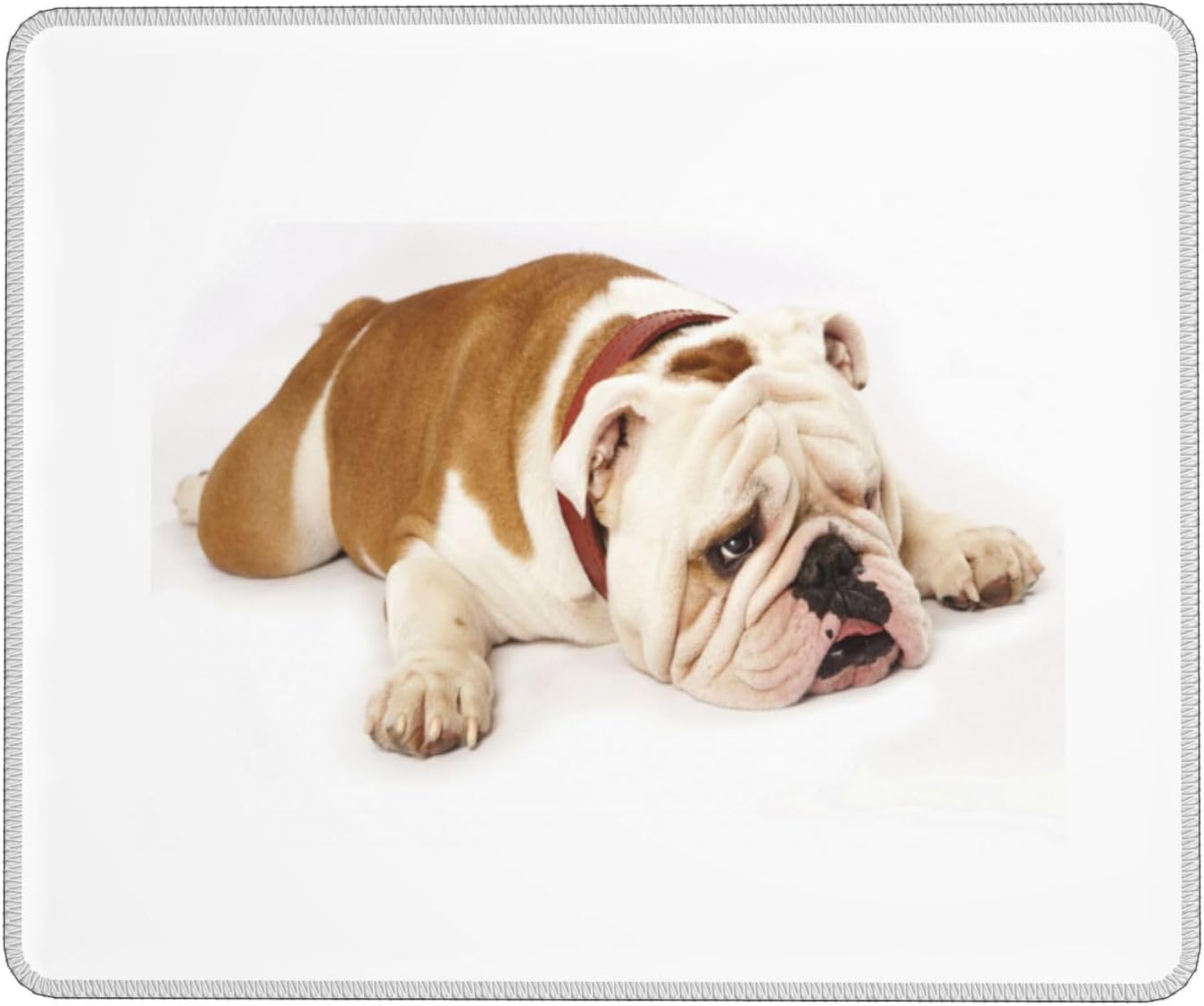 Amazon.com: Funny English Bulldog Mouse Pad, Non-Slip Rubber Base ...