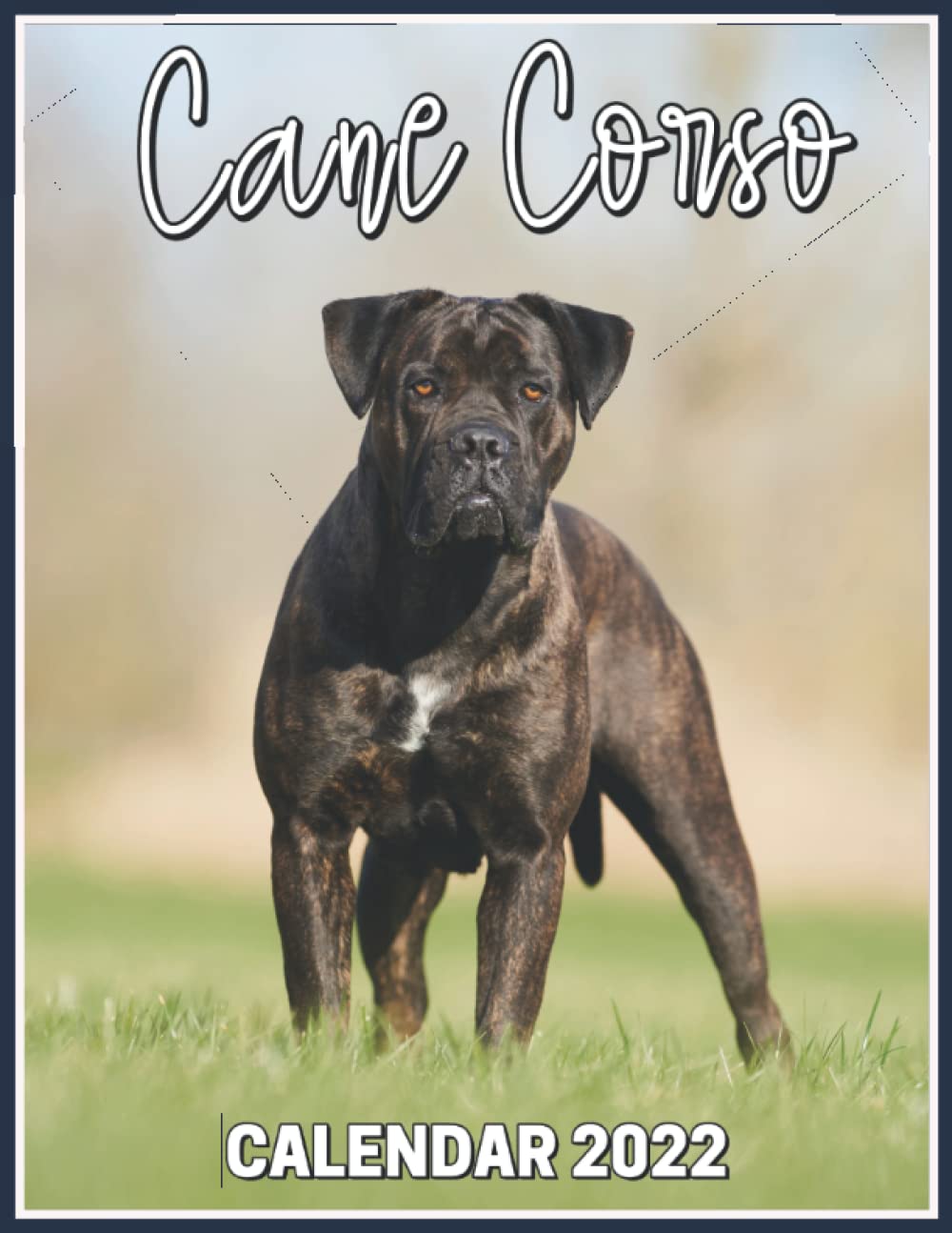 Cane Corso Calendar 2022 15 Months Calendar Planner Gift Cane ...