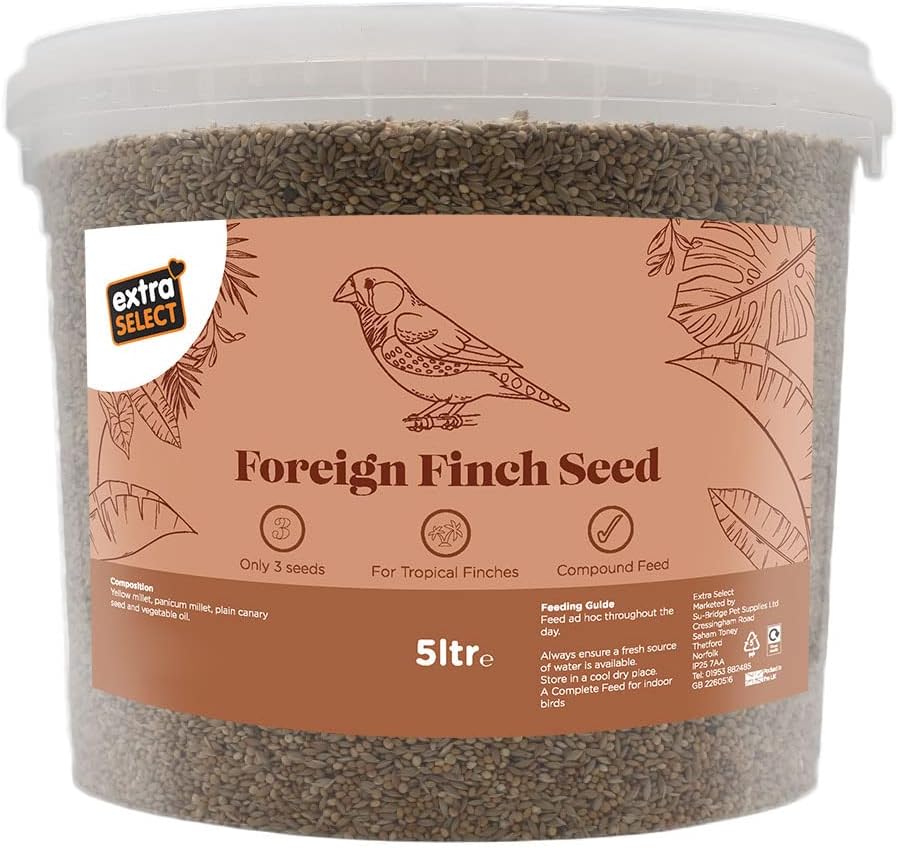 Extra Select Foreign Finch Seed Mix: Three-Seed Mix for Tropical ...