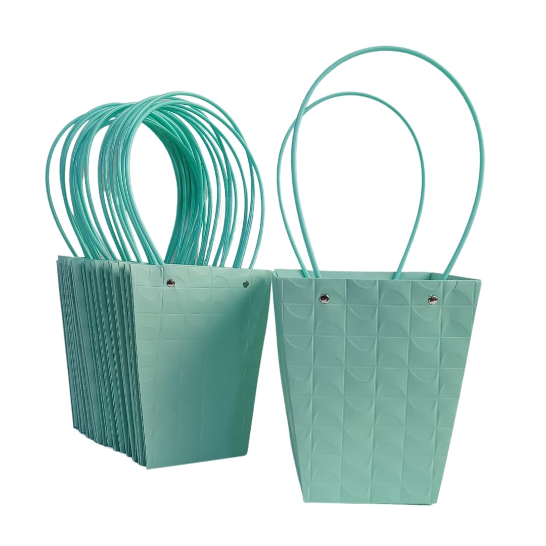 Oasis Paper Gift Bag, Pack of 10Pcs, Foldable, Empty, Decorative ...