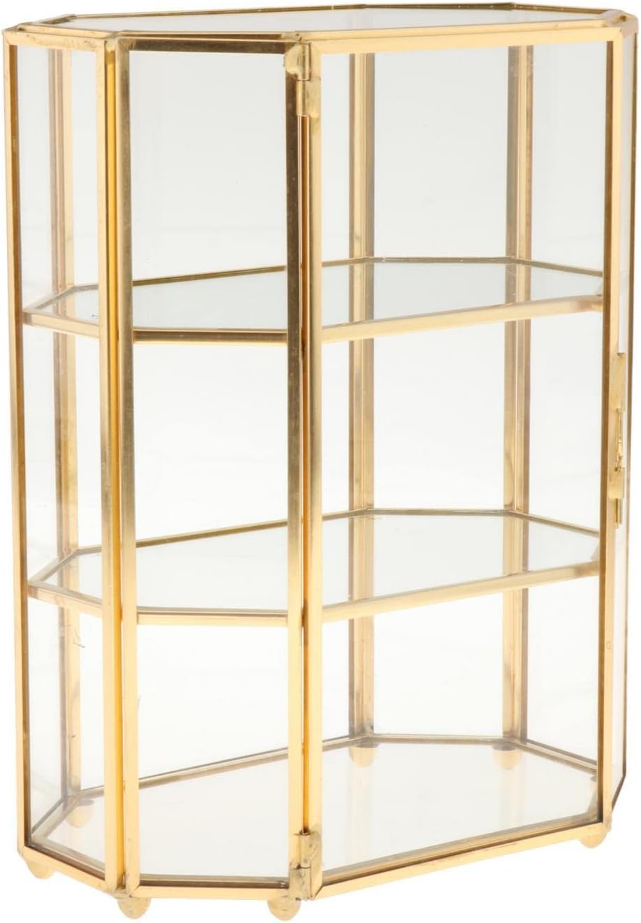 Feyarl Jewelry Trinket Glass Box Ornate Ring Earring Box Preserved ...